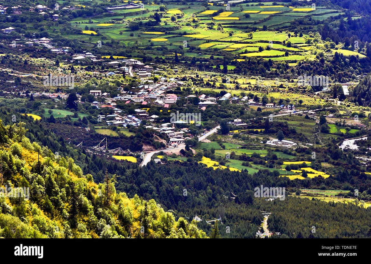 Scenery of Yingzhi Lulang Linhai, Tibet Autonomous Region, China Stock ...