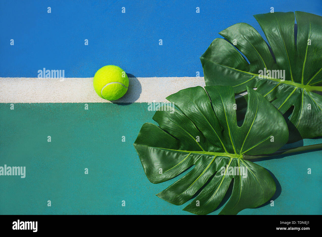 Summer tropical tennis concept with green monstera leaves and ball on ...