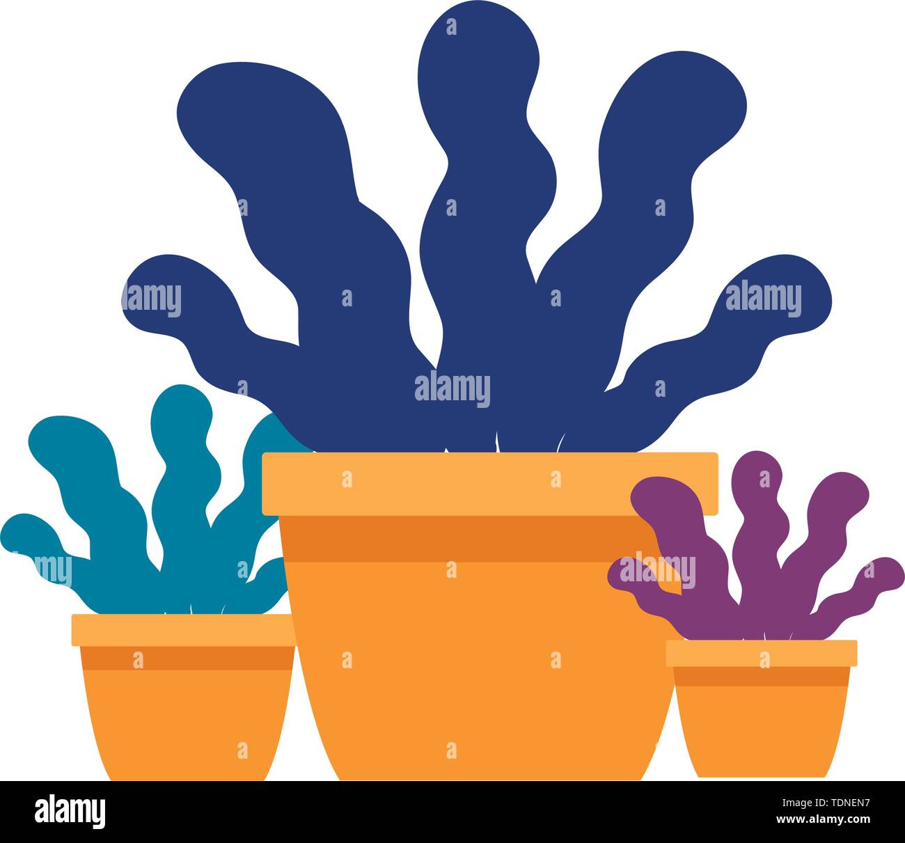 Small Indoor Potted Plant Stock Vector Images Alamy