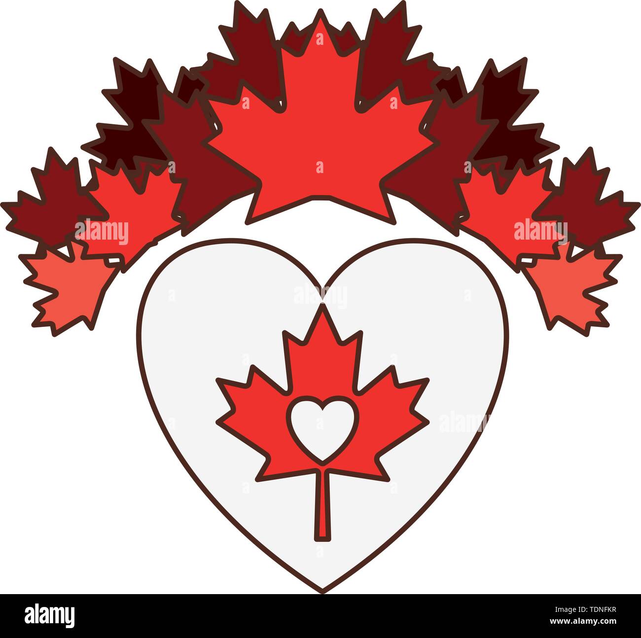 Maple leaf of canada design Stock Vector Image & Art - Alamy