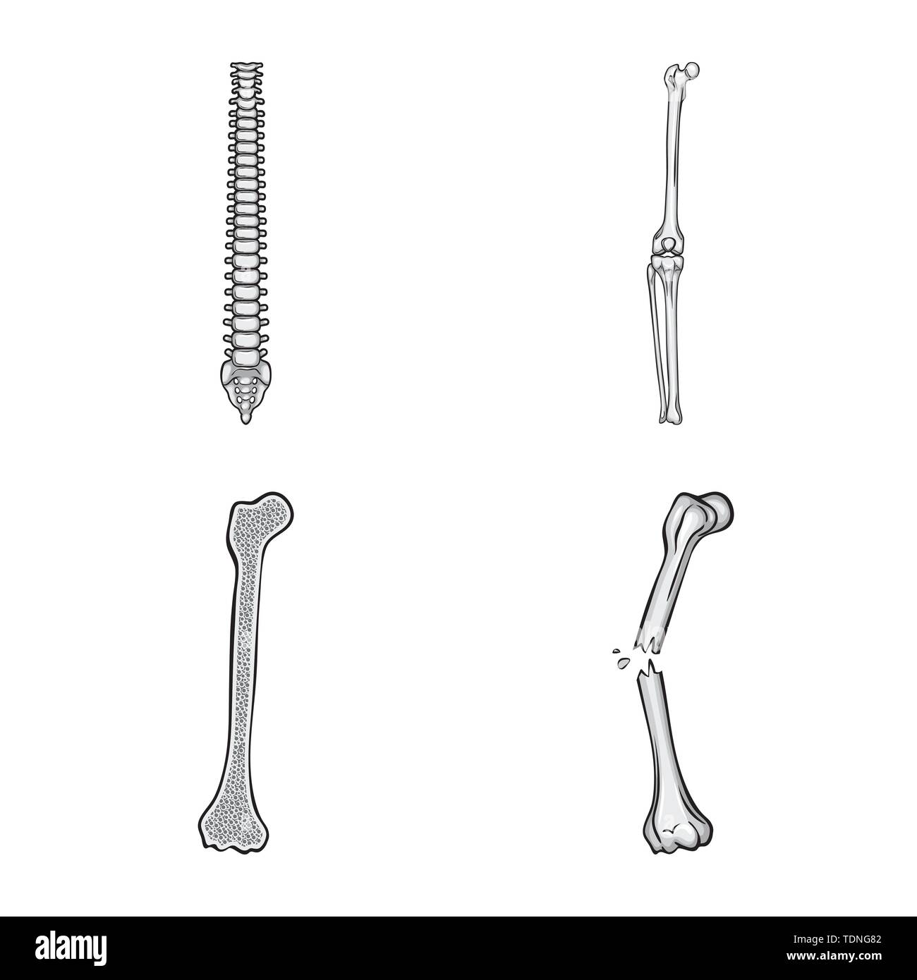 Vector illustration of biology and medical logo. Set of biology and ...