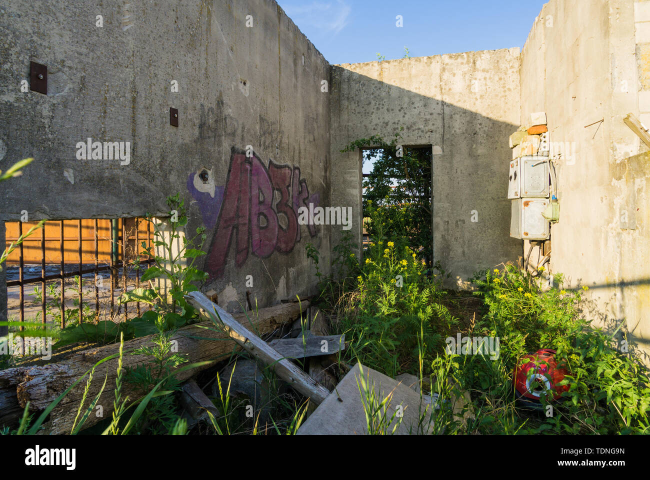 Sacred fig tree hindu hi-res stock photography and images - Alamy