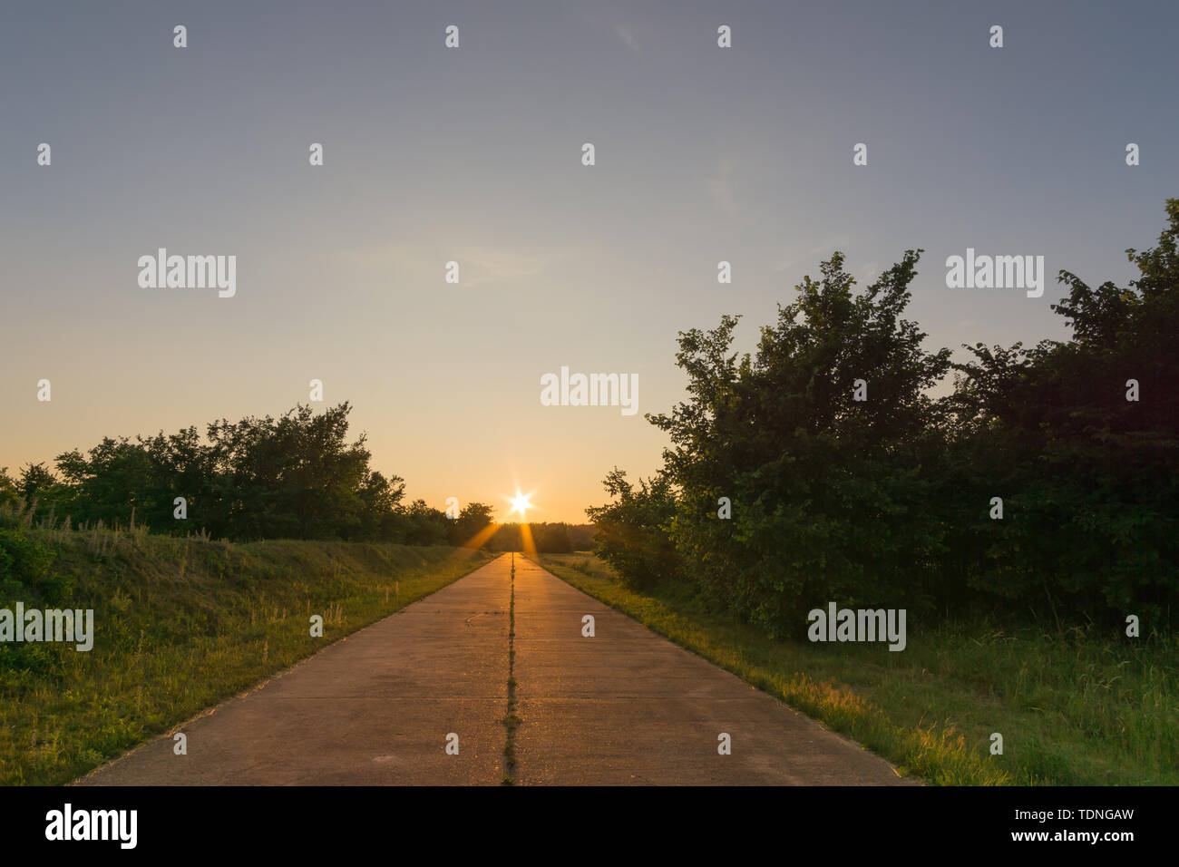 rut road in steppe on sunset background Stock Photo - Alamy