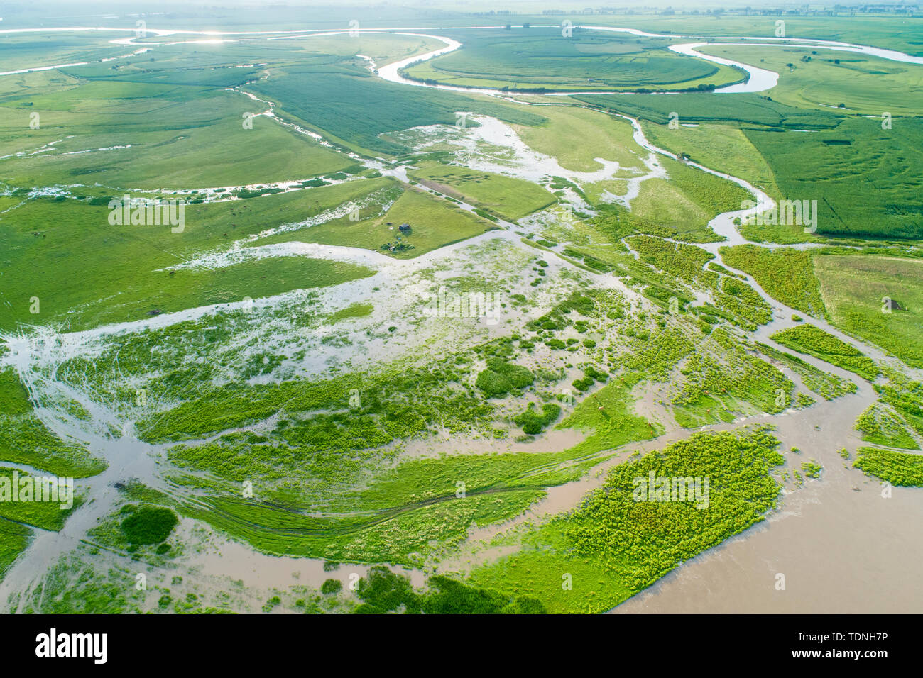 Muring hi-res stock photography and images - Alamy