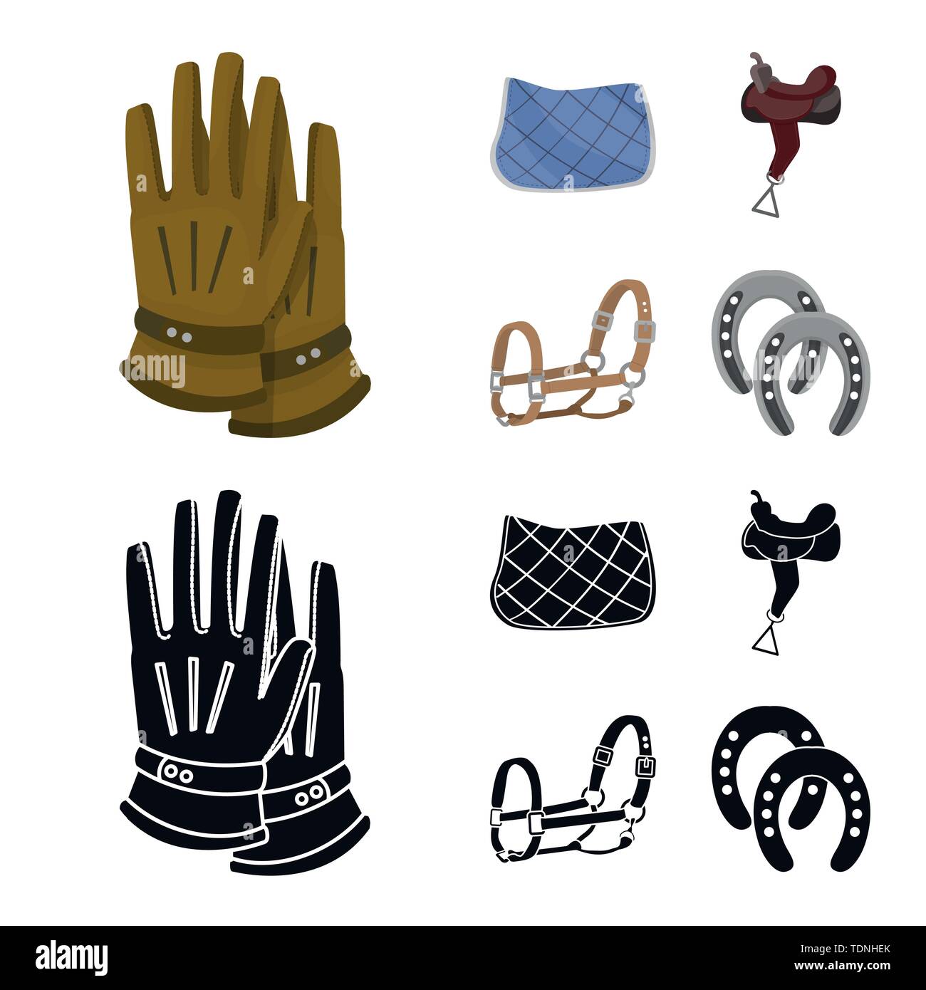 Vector illustration of equipment and riding symbol. Set of equipment ...