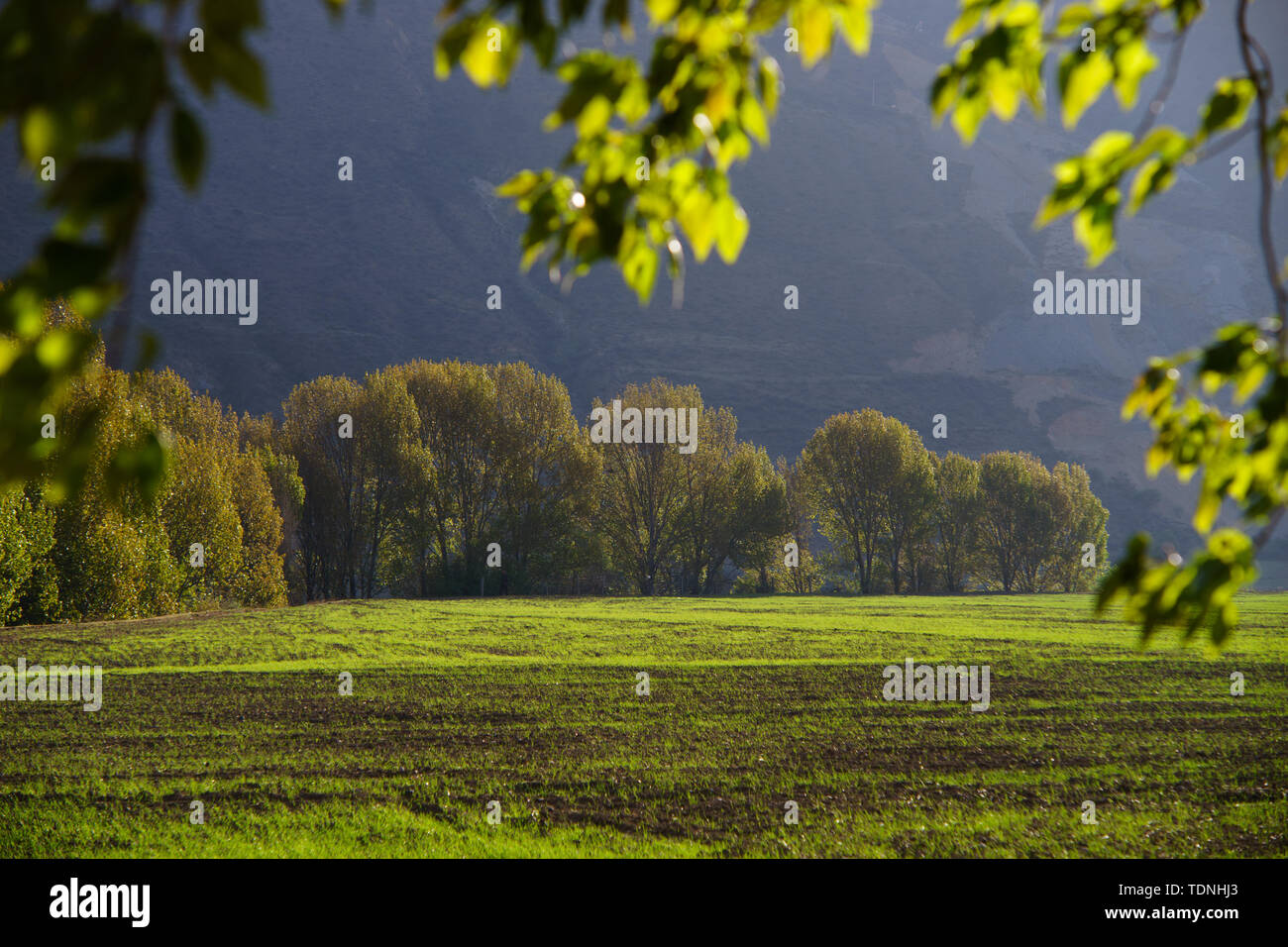 Small scenery light and shadow Stock Photo - Alamy