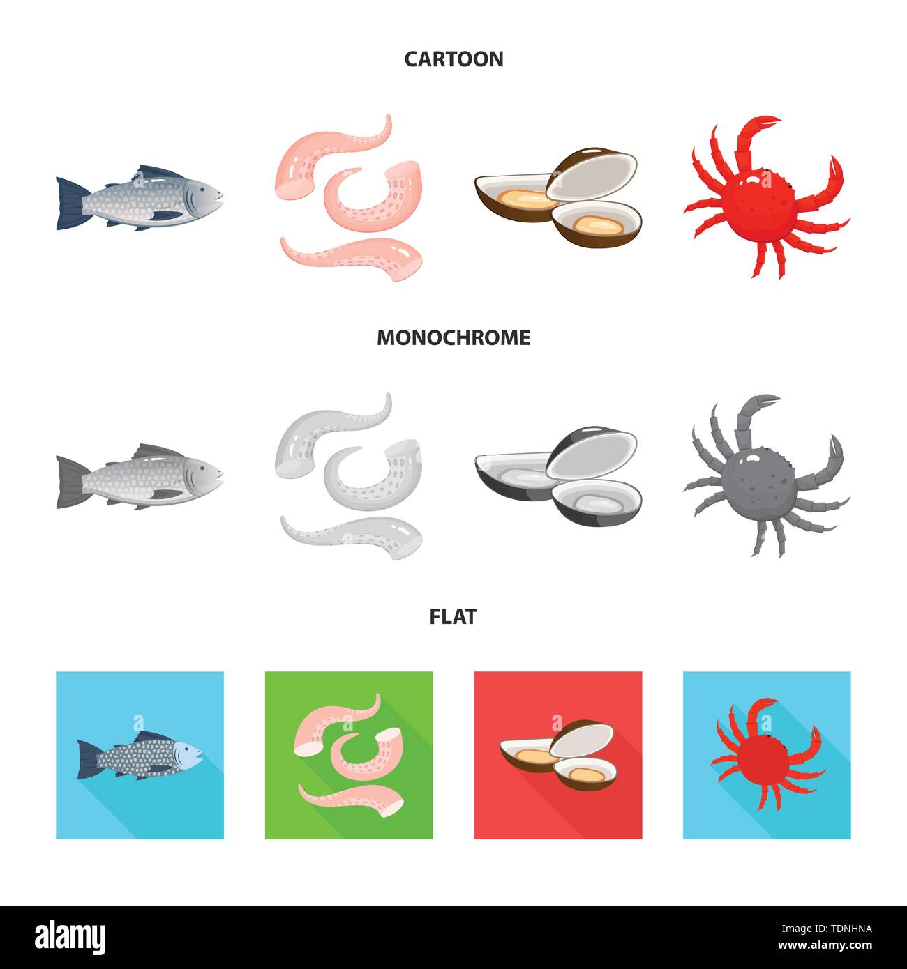 salmon,octopus,mussel,crab,fish,squid,jelly,shell,trout,tentacle ...