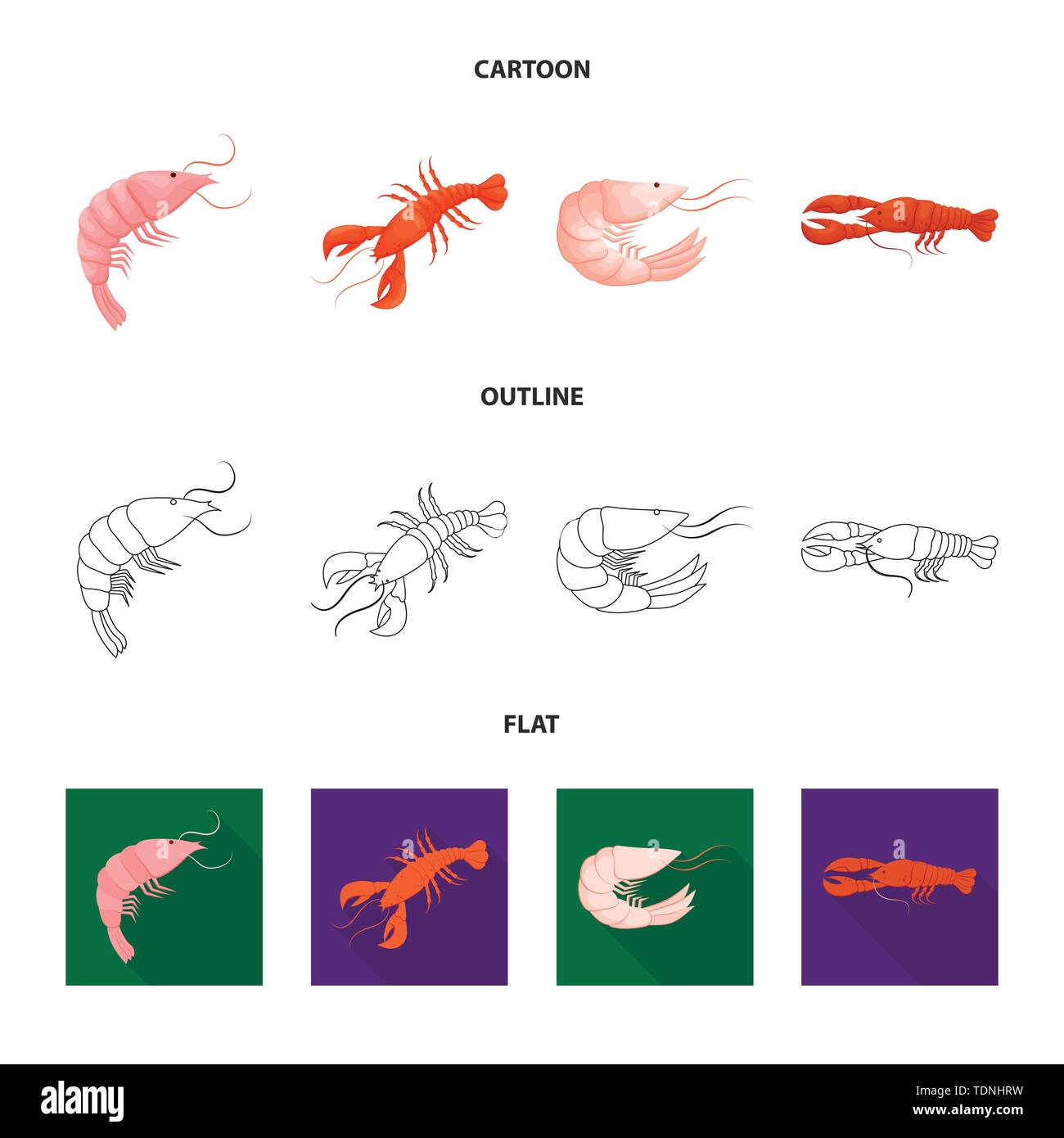 prawn,lobster,crayfish,raw,red,creature,cooked,underwater,boiled,luxury ...