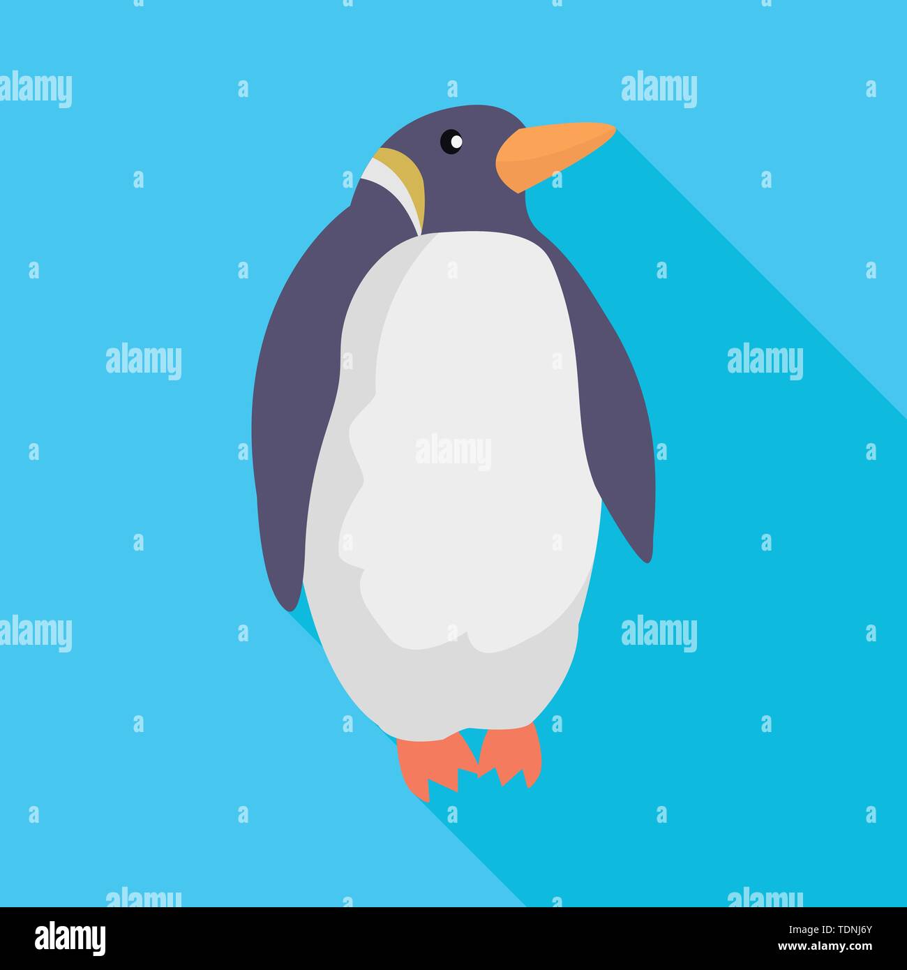 north,winter,christmas,arctic,ice,snow,zoo,park,safari,animal,penguin ...