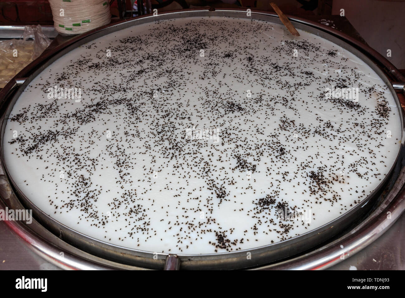 Temple fairs, Chinese New Year, blessings, incense, tulips, food ...