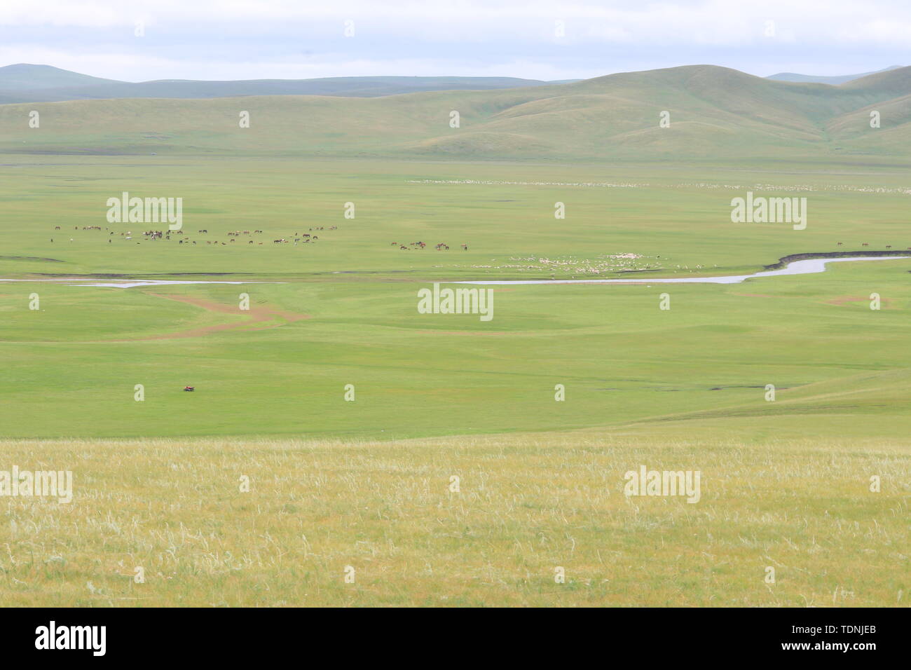 Erguna river erguna river wetland hi-res stock photography and images ...