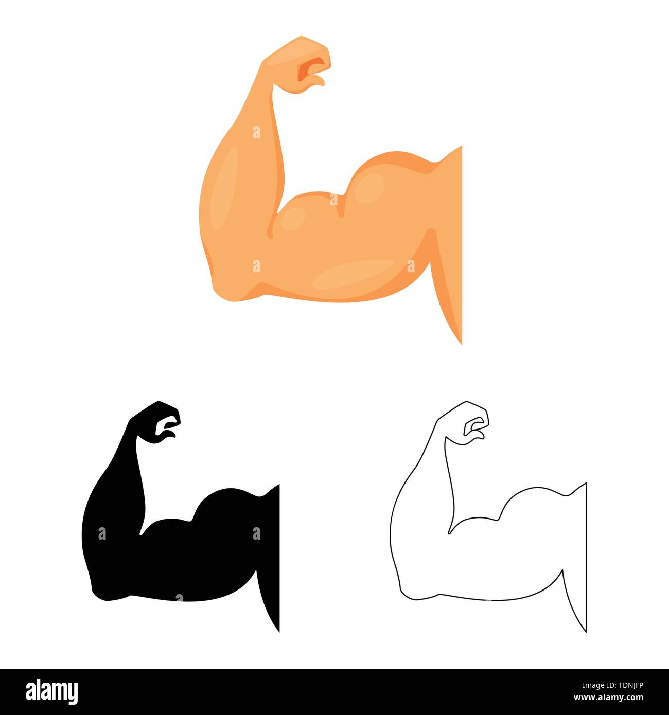 Vector design of fiber and muscular symbol. Set of fiber and body stock ...