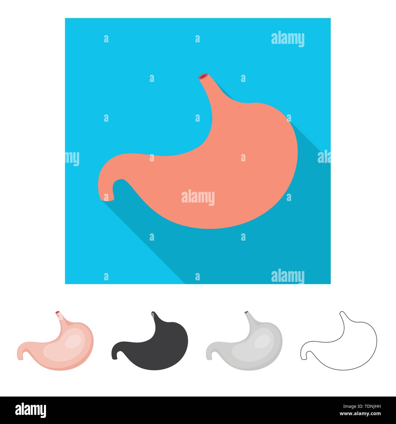 stomach,digestive,gastric,pain,body,heartburn,acid,ache,reflux,biology ...