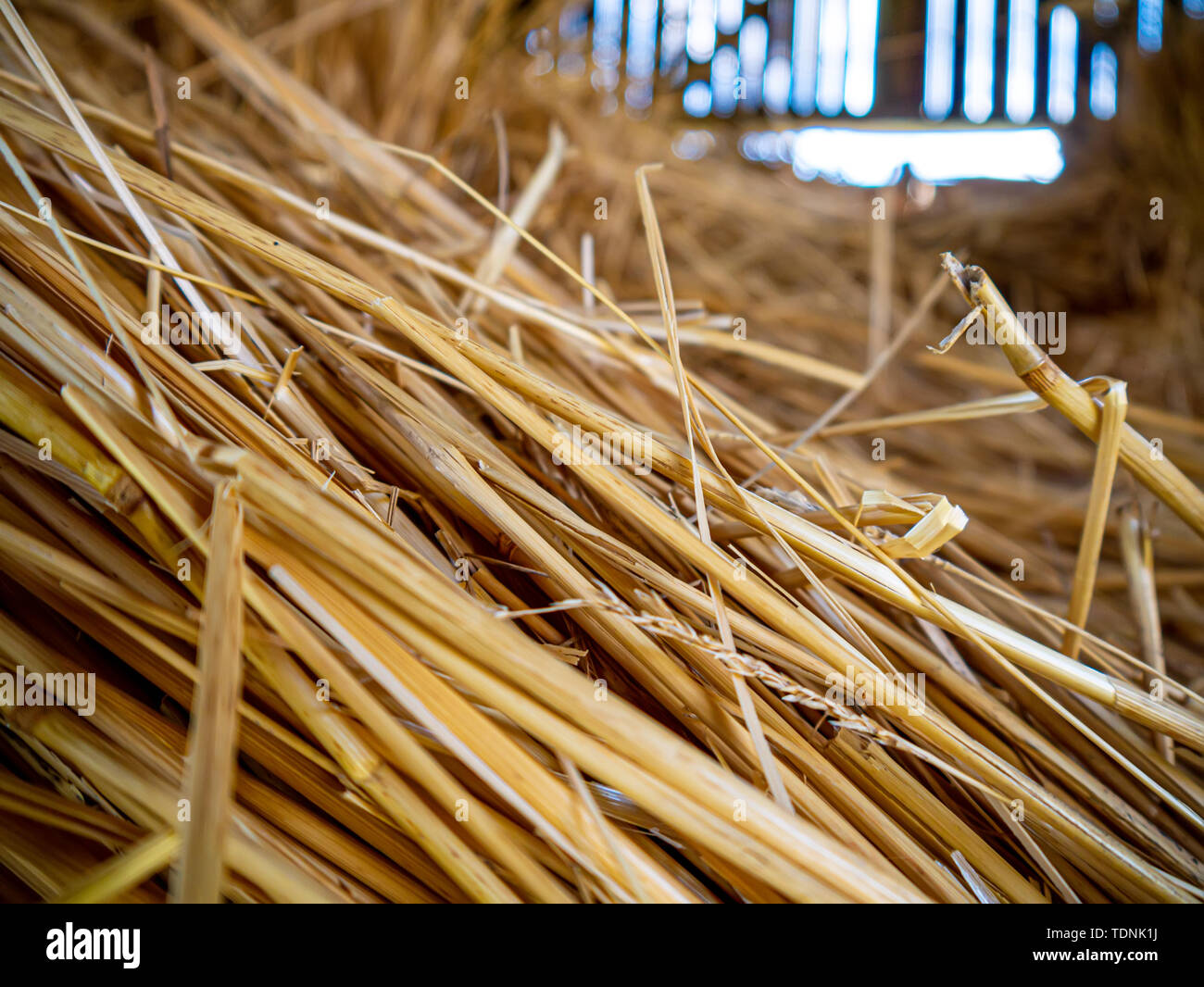 Colseup view on a straw pile in a barn Stock Photo - Alamy