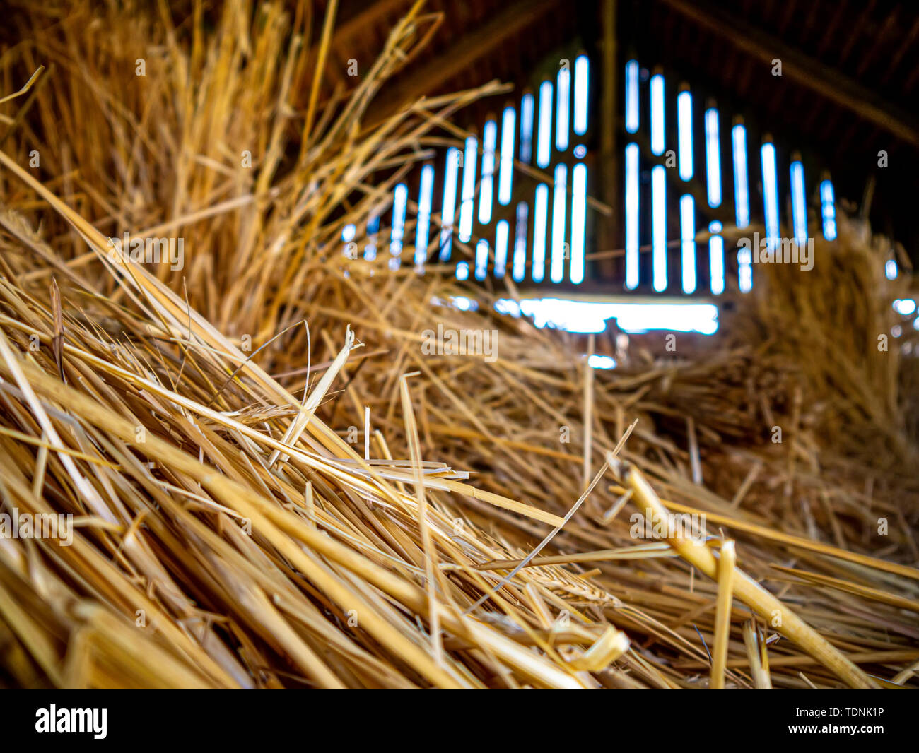 Straw barn farm fodder hay storage hi-res stock photography and images ...