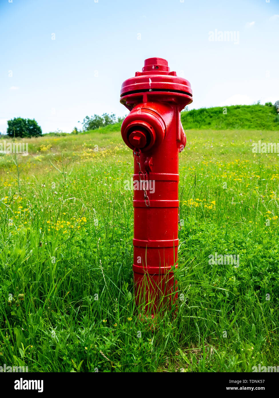 Hydrand hi-res stock photography and images - Alamy