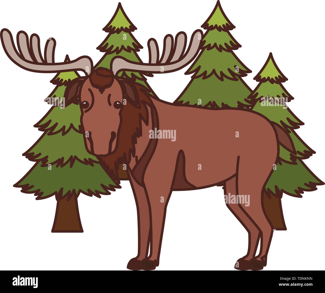 Moose forest animal of canada design Stock Vector Image & Art - Alamy
