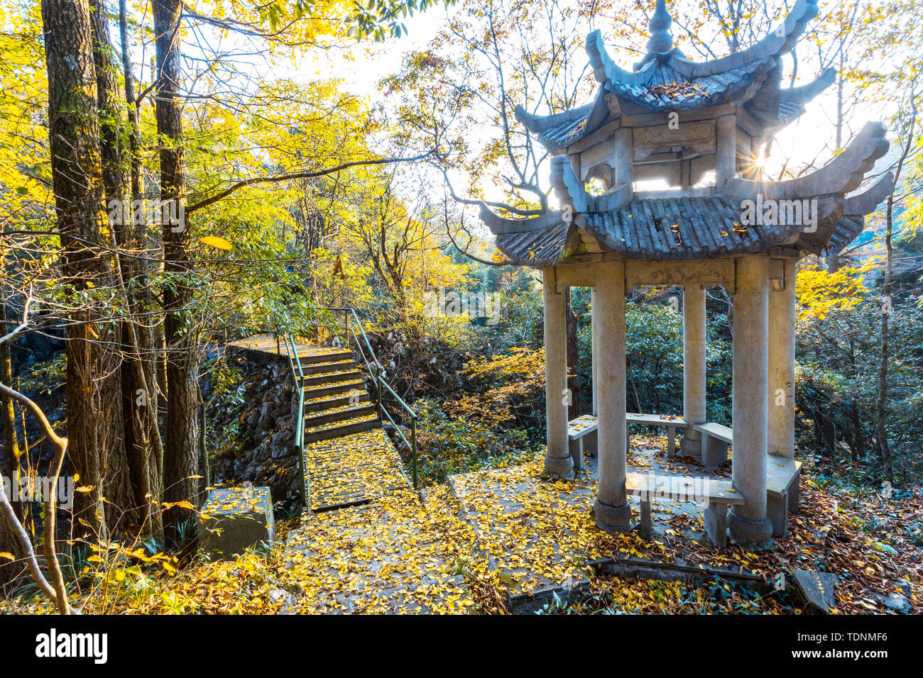 Autumn with pavilion Stock Photo - Alamy
