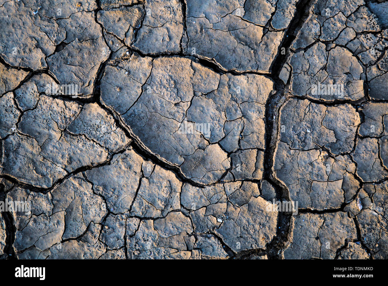 Man cracking up hi-res stock photography and images - Alamy