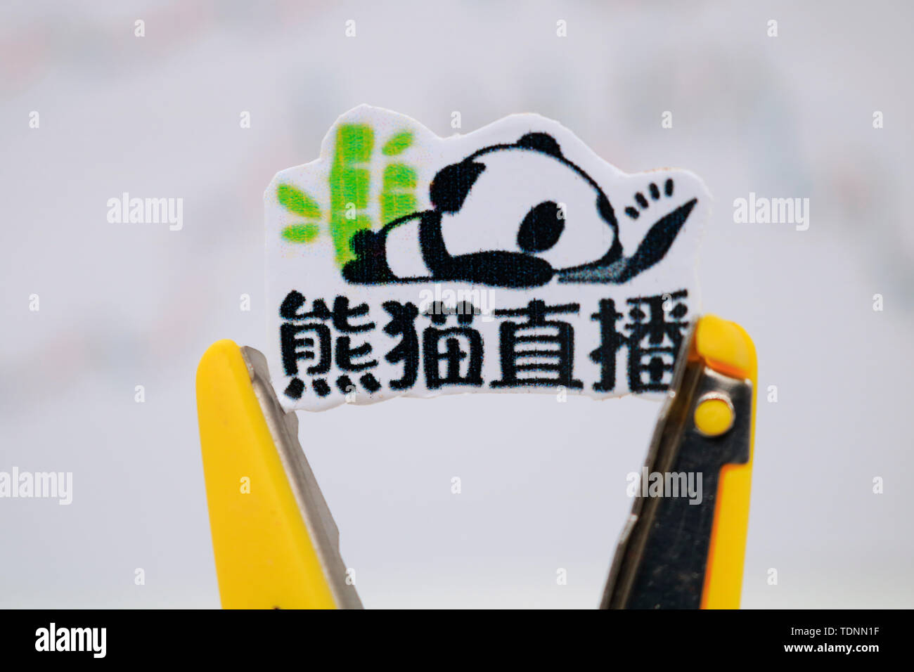 Panda tv hi-res stock photography and images - Alamy