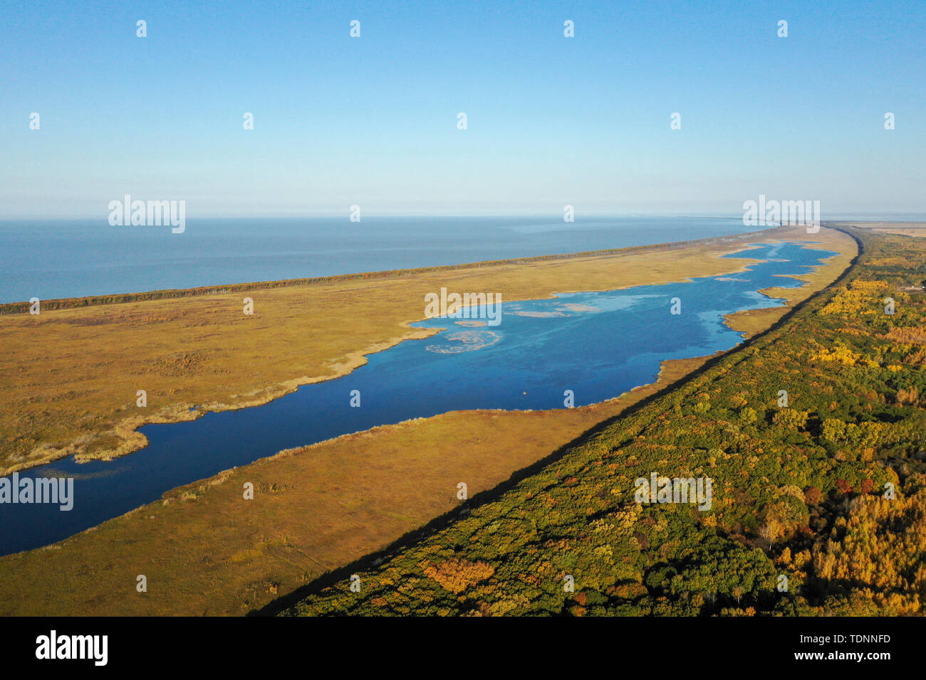 Sino-Russian border lake Xingkai lake autumn color Stock Photo - Alamy