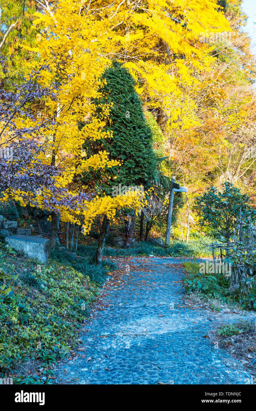 Pathway in the downhill Stock Photo - Alamy