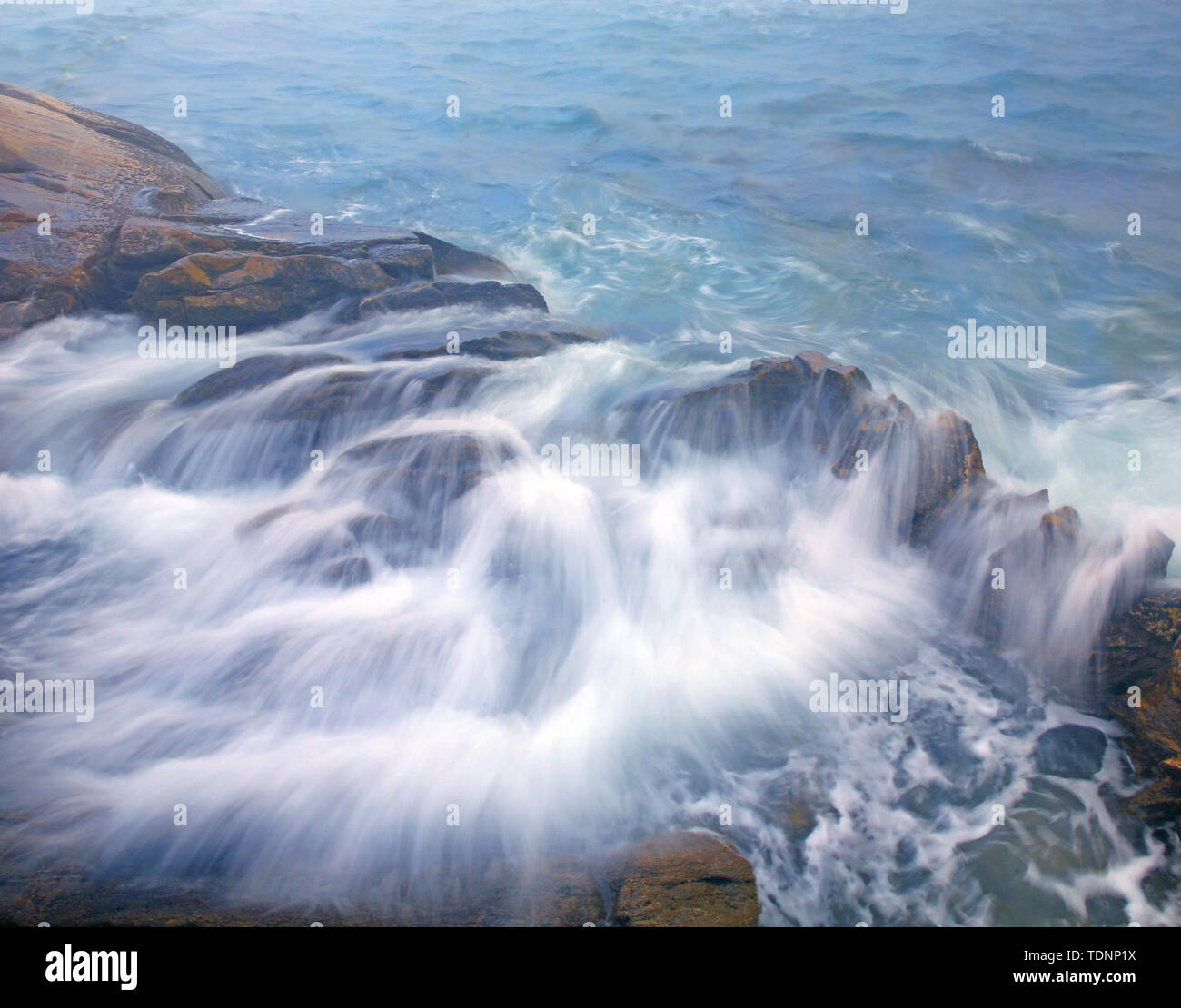 A group of pictures of the soul of the sea Stock Photo - Alamy