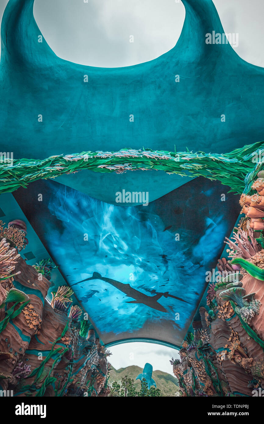 In addition to the eye-opening ocean world, there is also an exciting ...