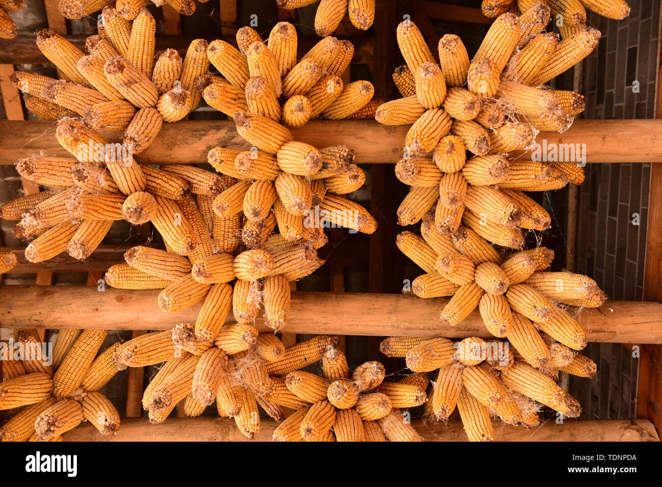 Corn folk houses hi-res stock photography and images - Alamy