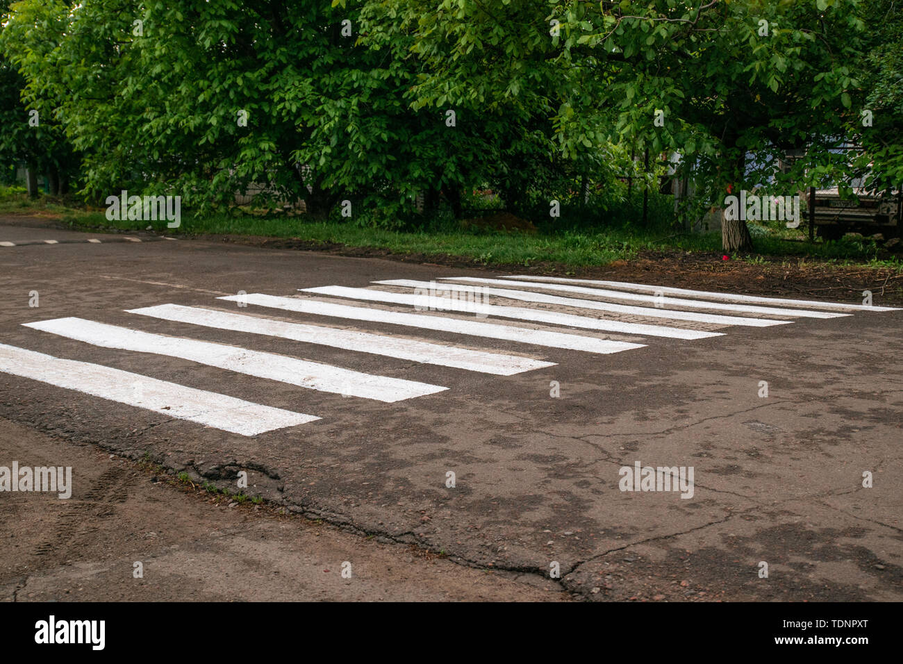 Zebra crossing in the city. Detail of a crosswalk on a road, asphalt ...