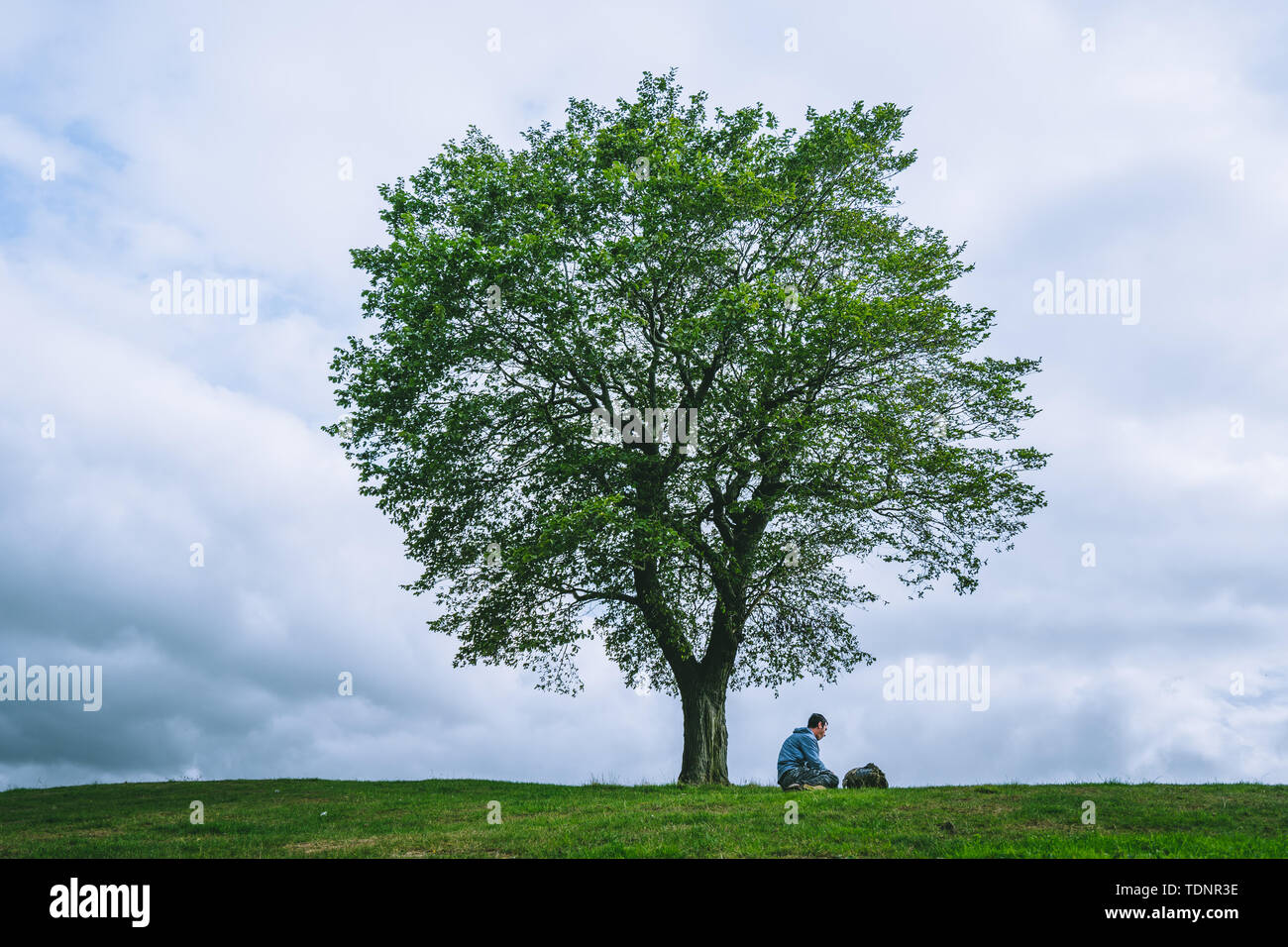 Under big green tree hi-res stock photography and images - Alamy