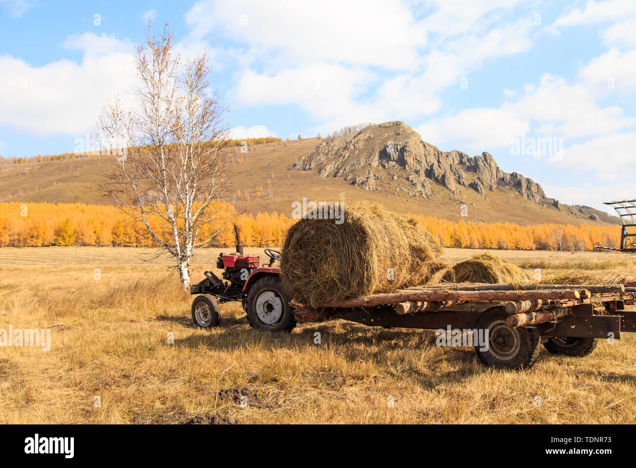 The magnificent scenery of the Xilingol prairie Stock Photo - Alamy