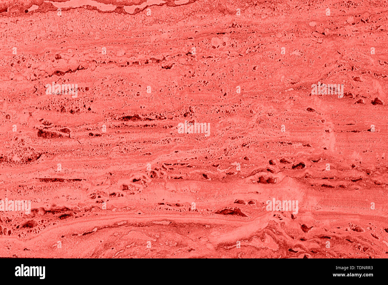 Closeup of trendy coral colored porous stone textured wall. Abstract ...