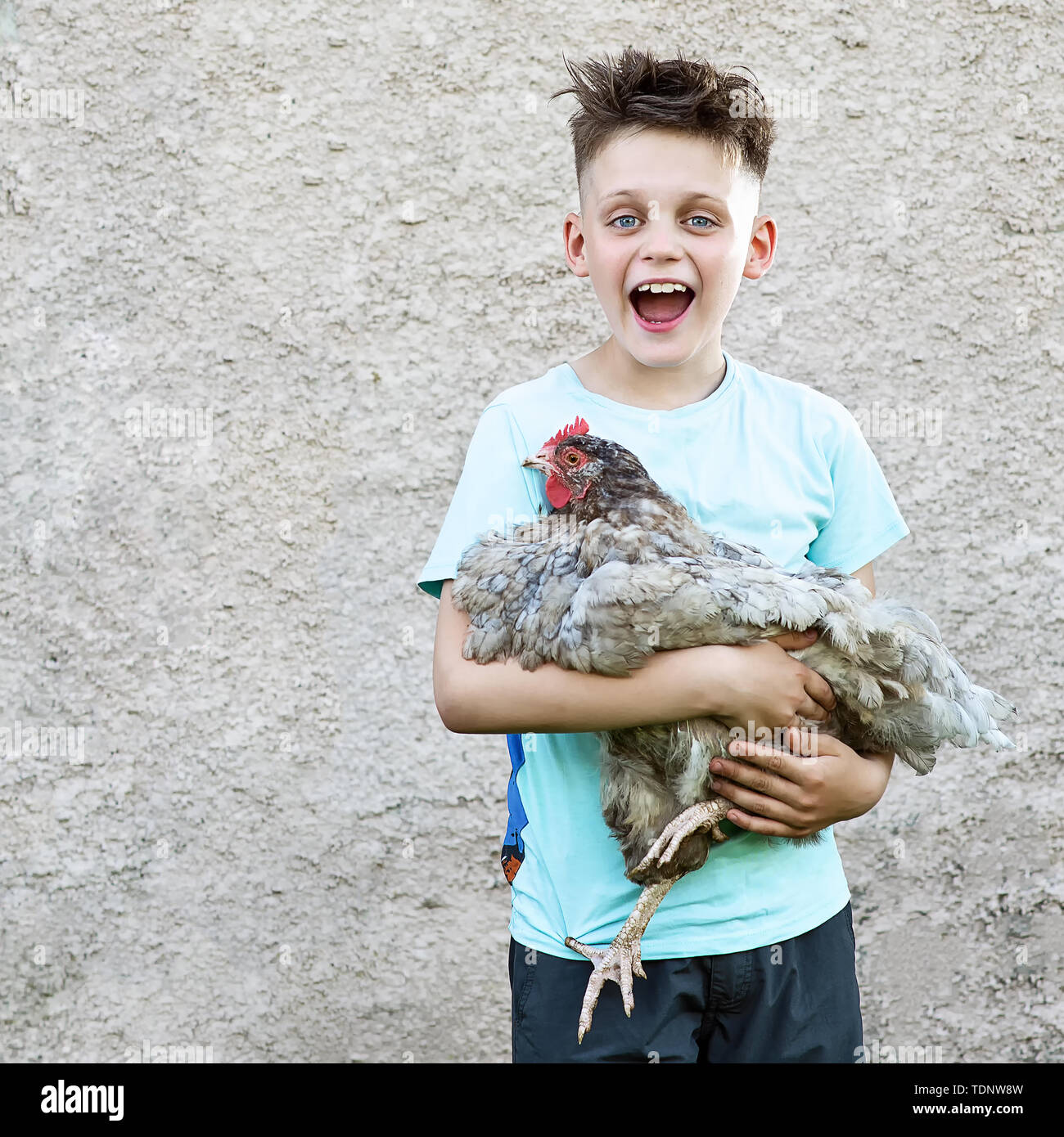 happy boy in blue t-shirt holding chicken and laughing on blurred ...