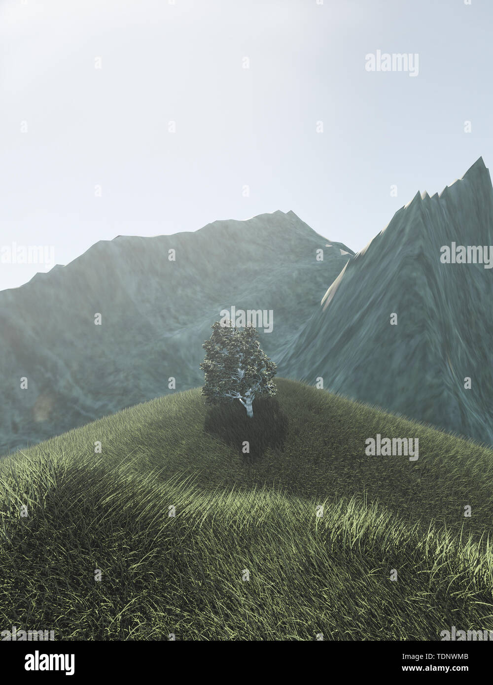 Strong wind trees people hi-res stock photography and images - Alamy