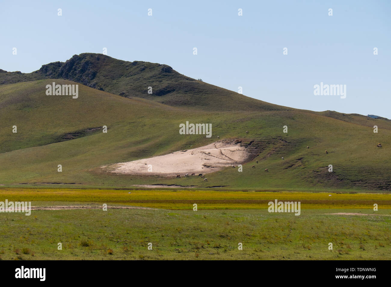 Rich green pastures hi-res stock photography and images - Alamy