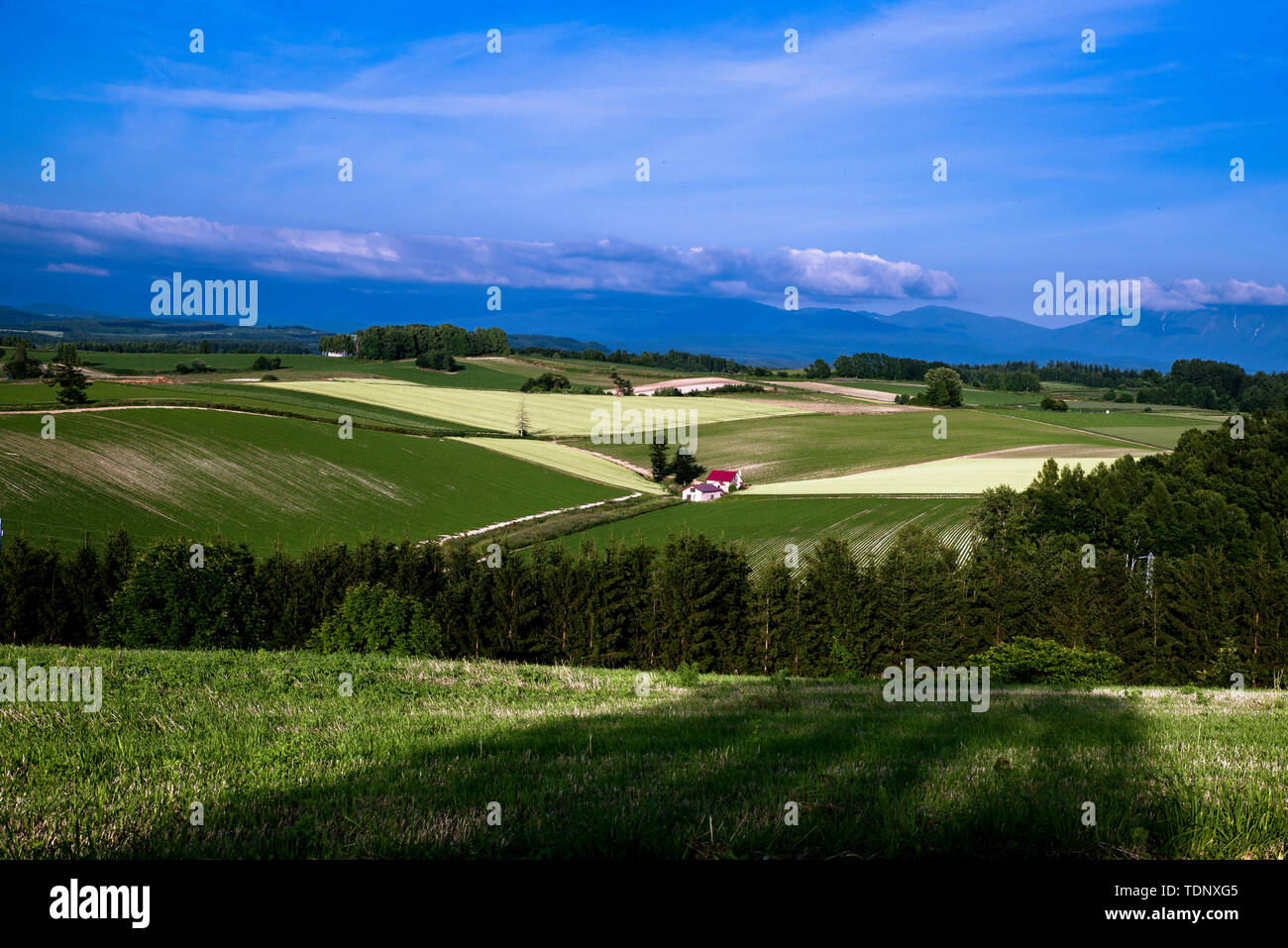 Rural farms no one in summer rural areas sky hi-res stock photography ...
