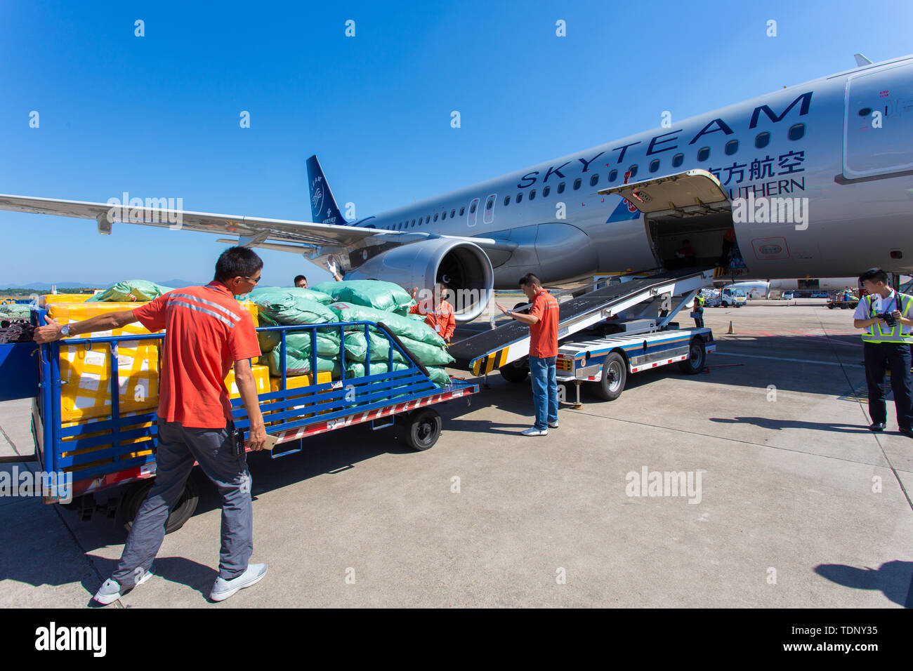 Southern Airlines, ground crew transporting checked baggage Stock Photo ...