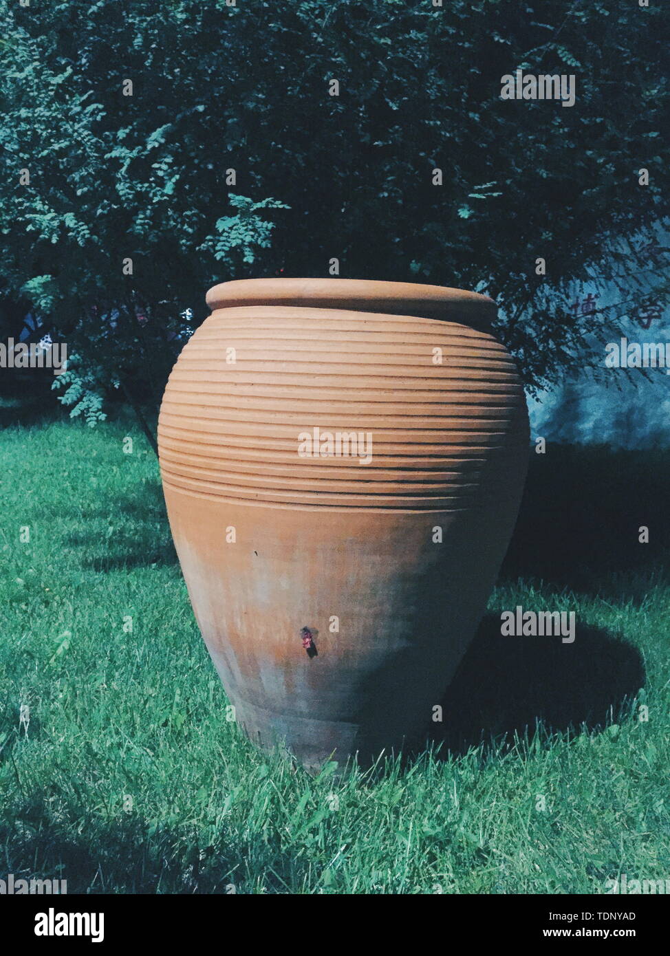 Flower gun barrel hi-res stock photography and images - Alamy