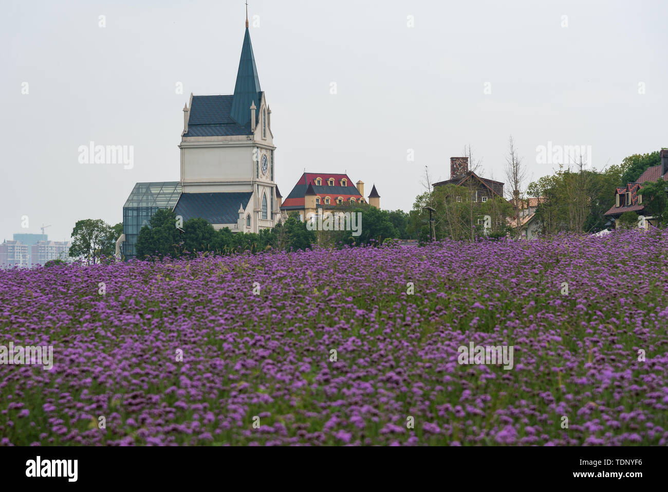 The scenery of Hua Bo Hui in Wuhan Stock Photo - Alamy
