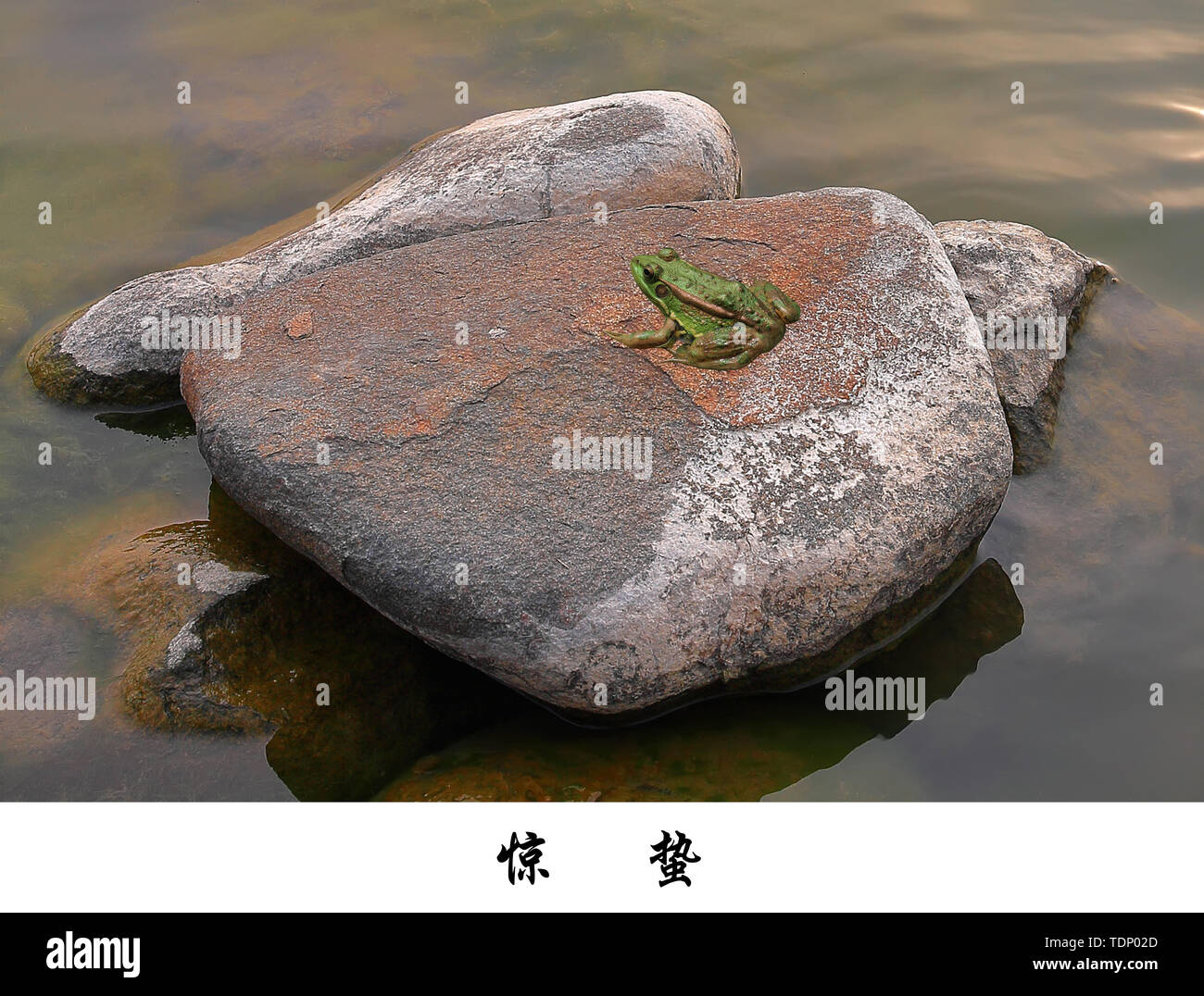 Solar ponds hi-res stock photography and images - Alamy