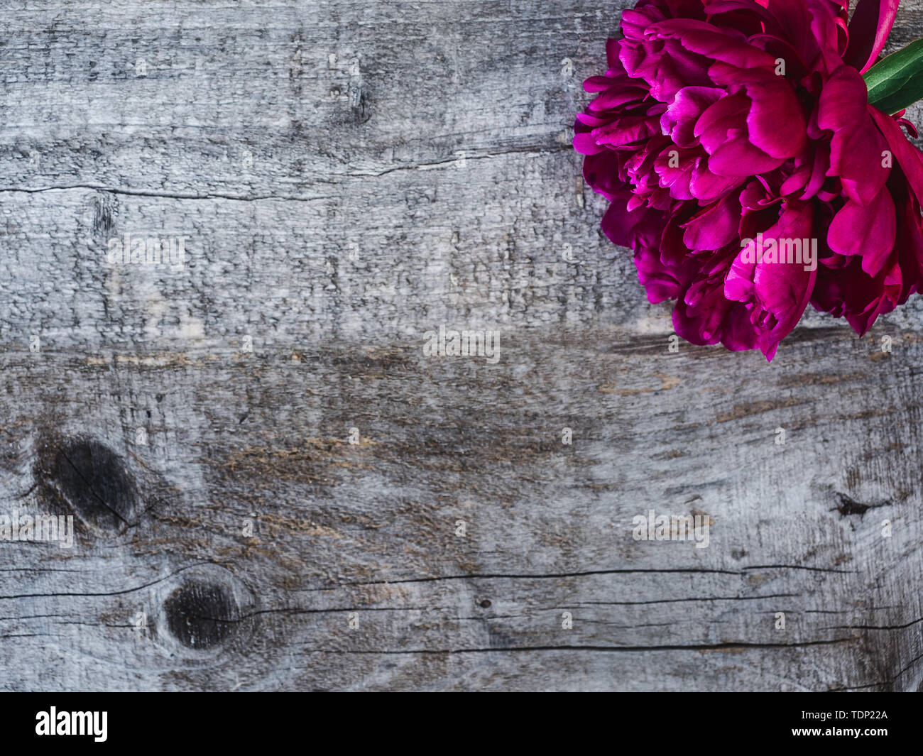 Pion frame hi-res stock photography and images - Alamy