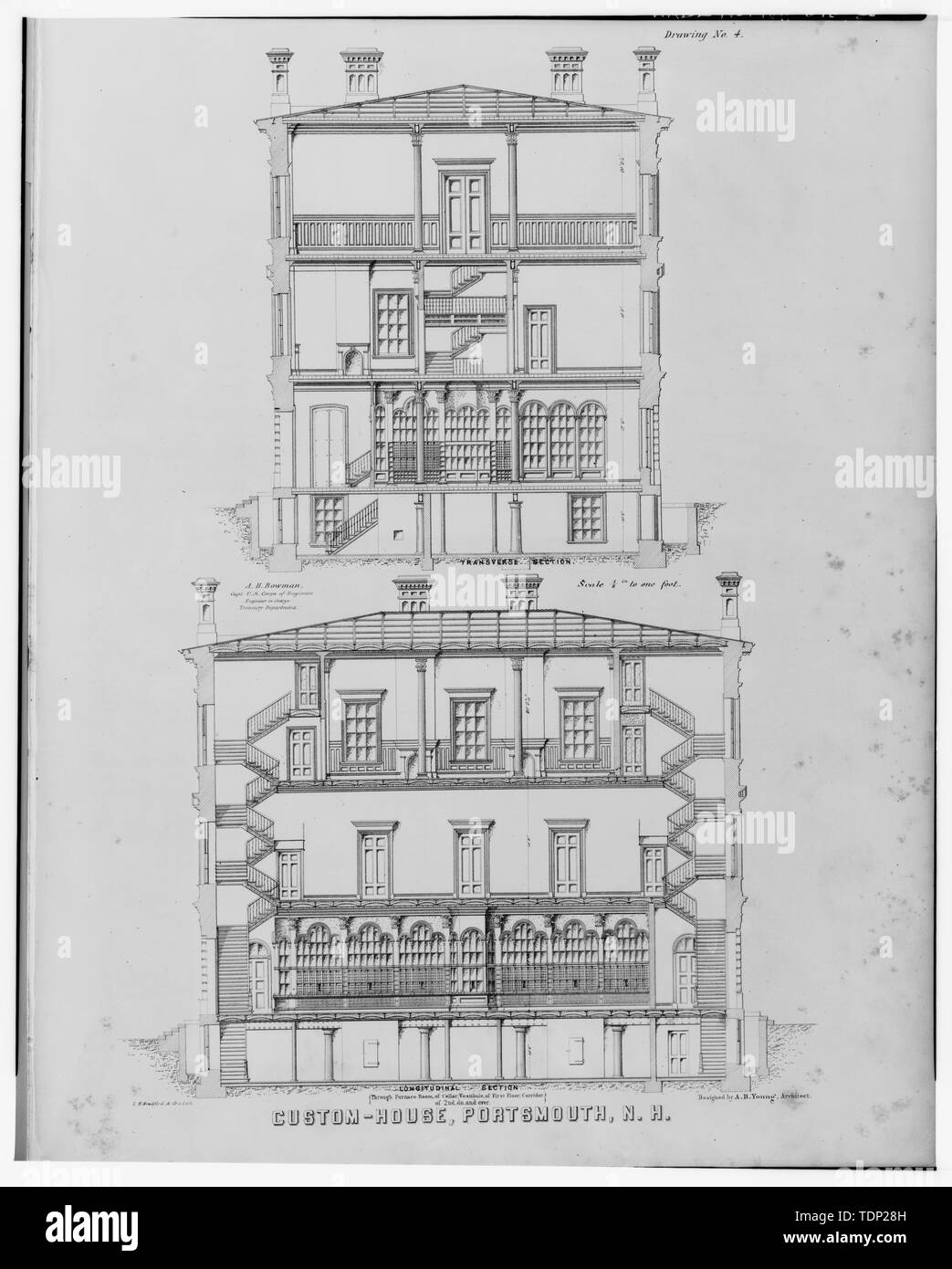 Longitudinal and transverse sections hi-res stock photography and ...