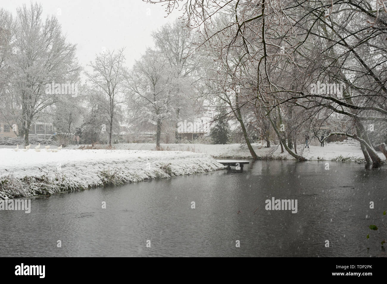 Frozen flood waters hi-res stock photography and images - Alamy