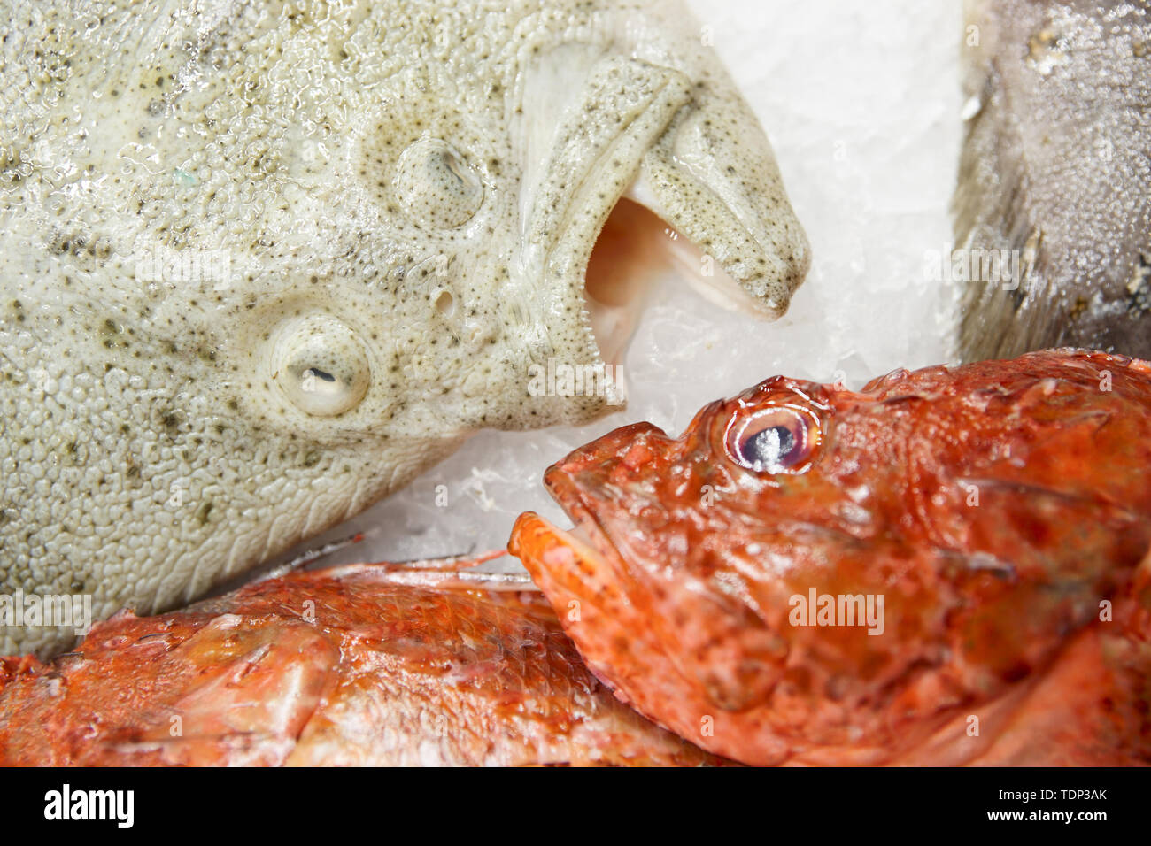 Two fishes on market display with open mouth - looks like they are ...
