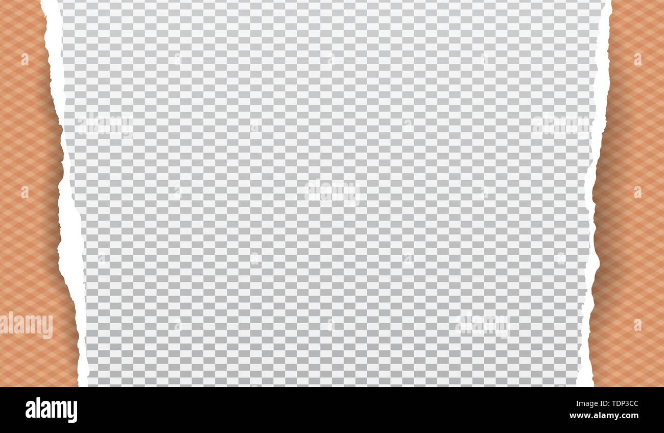 Piece of white torn paper strip with rectangle pattern and soft shadow ...