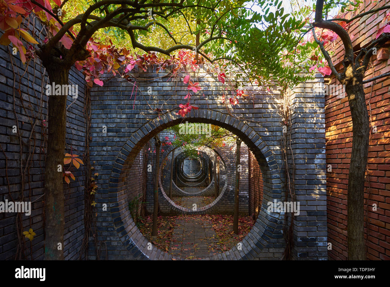 Red leaf art museum of art art museum fashion hi-res stock photography ...