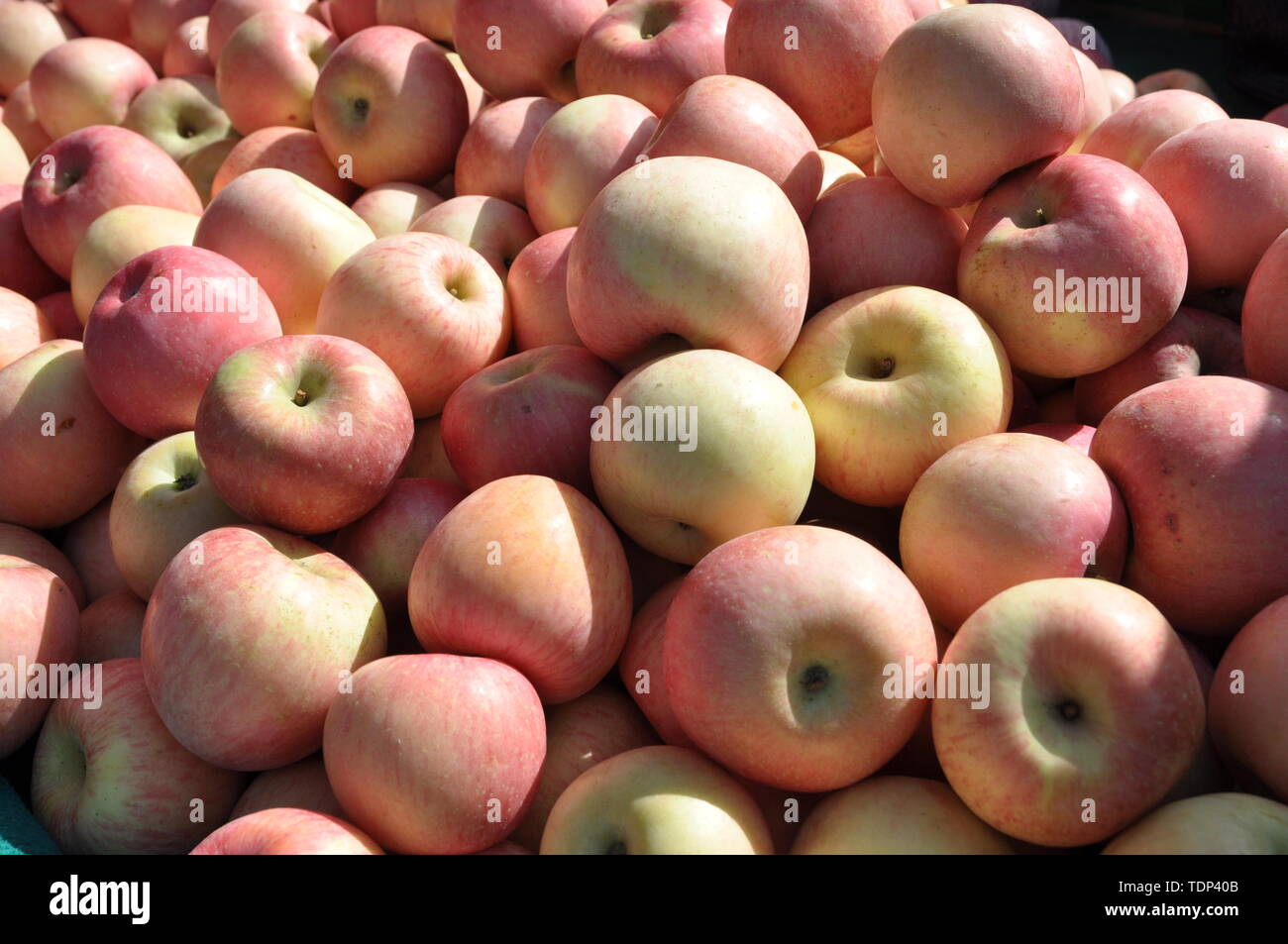 A bunch of apples Stock Photo - Alamy