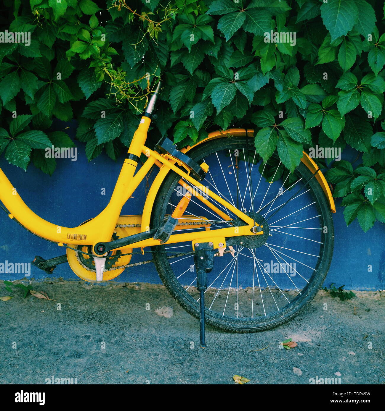 The yellow car is hot Stock Photo - Alamy