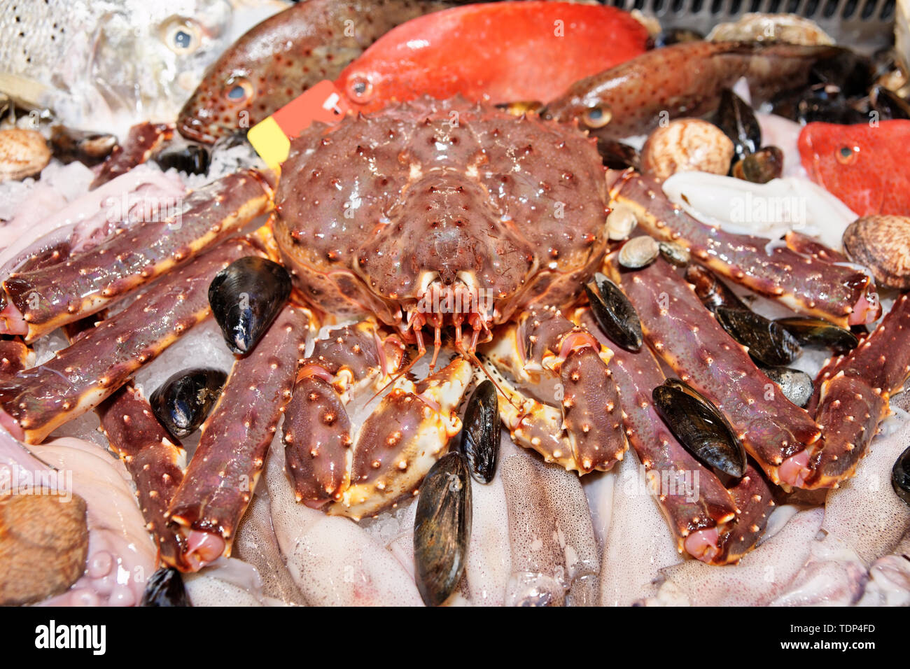 Giant crab shot on a fish market display Stock Photo - Alamy